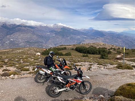 Tenere 700 Vs Tuareg 660 Vs Ktm 890r Vs Desert X Loveforride