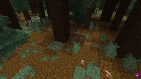 Minecraft How To Mine Podzol [step By Step Guide]