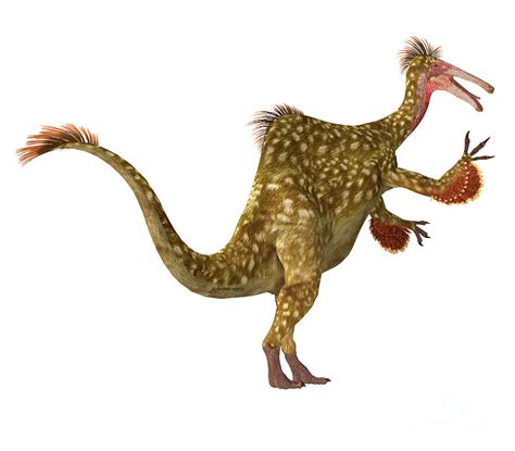 Cretaceous Deinocheirus Tail Digital Art By Corey Ford Fine Art America