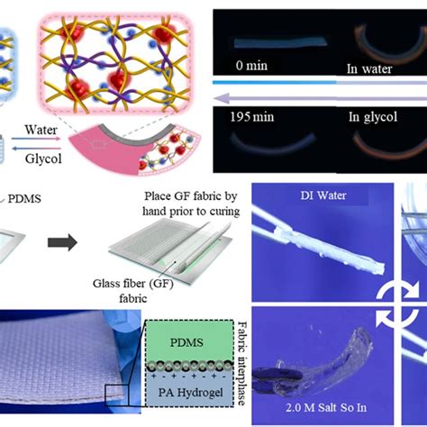 Hydrogel Actuators In Response To Solvent Stimuli A Schematic