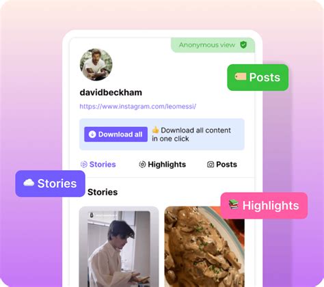 Instagram Viewer Free Anon Ig Viewer At Dolphin Radar Instagram Viewer Free Anon Ig Viewer At Dolphin Radar