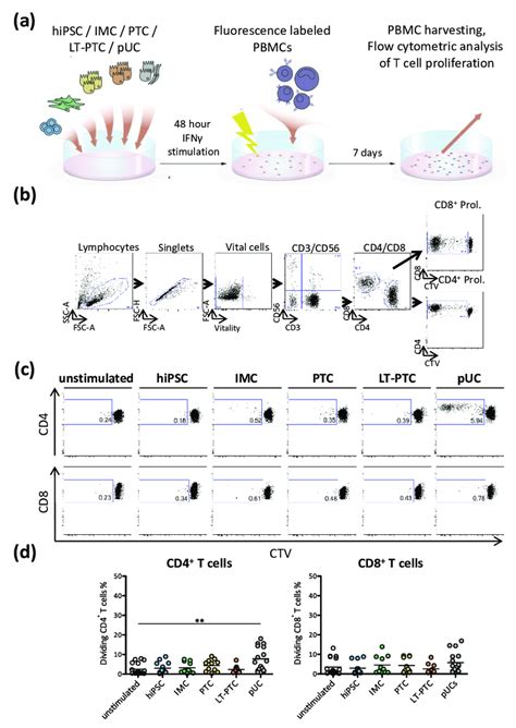 Autologous Derived Imcs Ptcs And Lt Ptcs Do Not Elicit T Cell