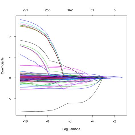 Regularized Regression 正規化迴歸 Ridge Lasso Elastic Net R語言