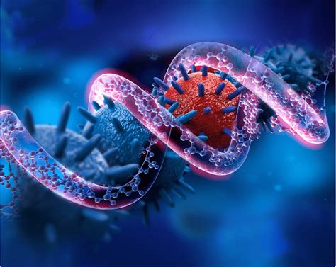 BIO Integration Volume Issue Number Publishes Bio Integration