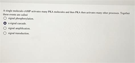 Solved A Single Molecule Camp Activates Many Pka Molecules