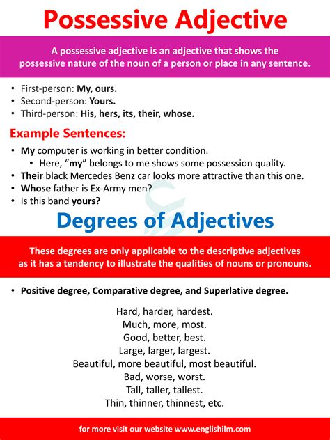 Adjective Definition Types And Helpful Examples Grammar Adjectives English Grammar Notes