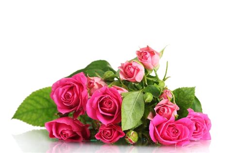 Muchas Rosas Rosadas Aisladas En Blanco Foto Premium