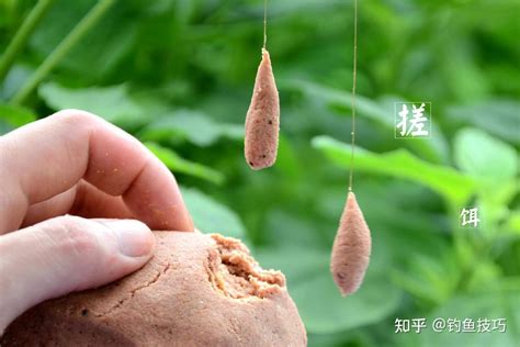 野钓和黑坑钓鱼用饵的区别，成为全能钓鱼人 知乎