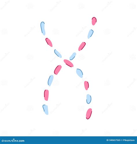 Transcription And Translation Protein Synthesis Cartoon Vector