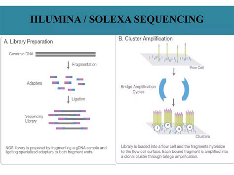Next Generation Sequencing Pptx Biotech And Biomedical Industry Industries