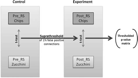 Flowchart Of The Applied Paired Network Based Statistics Approach Download Scientific Diagram