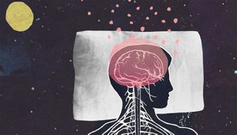 ¡increíble No Hacer Absolutamente Nada Ayuda A La Salud Del Cerebro