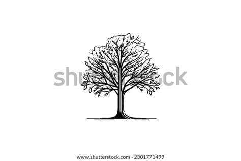 Tree Outline Sketch Drawing Vector Tree Stock Vector Royalty Free Shutterstock