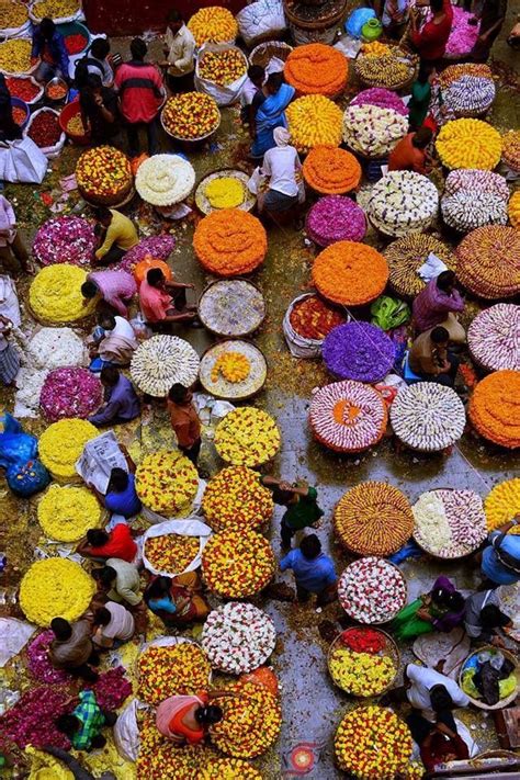 South Asian Aesthetic Indian Aesthetic Flower Aesthetic City Photography Amazing Photography