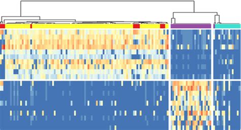 Single Cell Consensus Clustering Sc3 Tool Is More Accurate And Robust Than Existing Methods