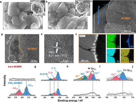 Sem Images At Different Magnifications Of The A Bare Ncm85 And B