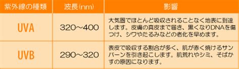 クロロフイル長野 春 紫外線について