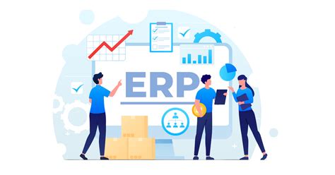 erp development guide to erp systems solutions and implementation