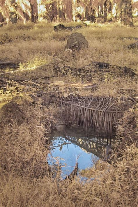 Murky Drainage And Pothole Of Stagnant Rainwater By The Pathway Stock