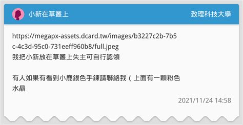 小新在草叢上 致理科技大學板 Dcard