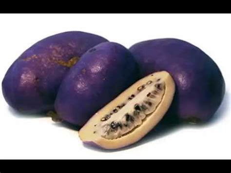 Akebi Fruit And Its Health Benefits Youtube