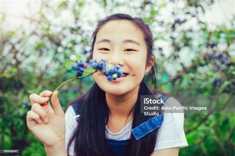 아시아 십대 소녀 수확 신선한 블루 베리 과 보고 에 카메라 행복하게 부터 농장 블루베리에 대한 스톡 사진 및 기타 이미지
