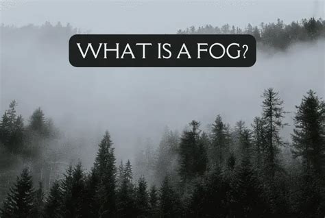 What Is The Difference Between Fog And Clouds Guide