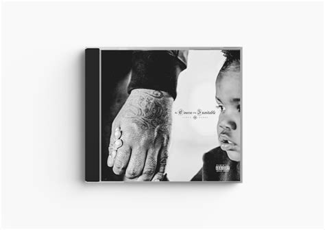 Hip Hop Nostalgia Lloyd Banks The Course Of The Inevitable Album