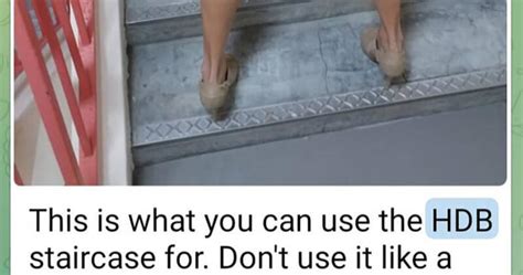 Telegram Group Members Share Videos Of Sexual Acts In Hdb Estates
