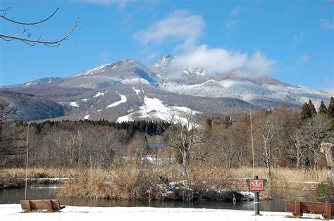おきどころ妙高高原 酔花 風酔 自然法爾のおきどころ妙高山標高 1160 m