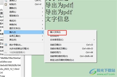 editplus怎么插入文本文件？ editplus导入文本文件的方法 极光下载站