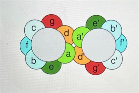 Solved Biochemleucine Zipper A Leucine Zipper Is A Protein