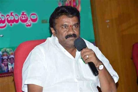 Talasani Stresses On Need For More Veterinary Doctors