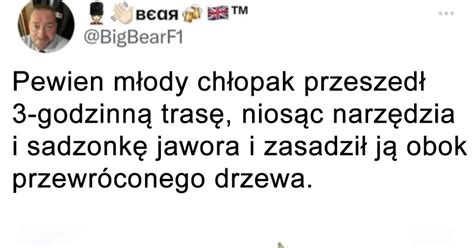 Galeria Która Może Zrobi Ci Dzień Galeria Kwejkpl