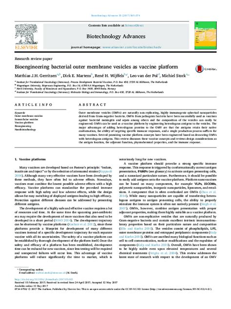 Pdf Bioengineering Bacterial Outer Membrane Vesicles As Vaccine Platform