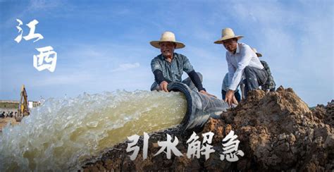 南方粮食主产区全力抗旱 保障秋粮颗粒归仓组图 腾讯新闻