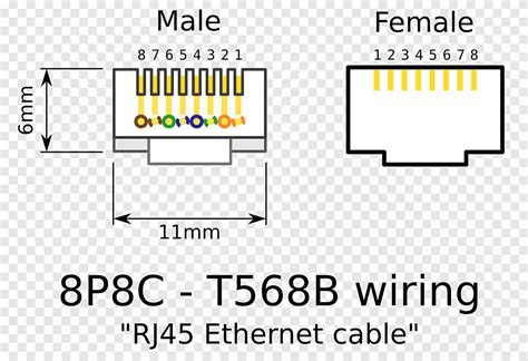 Cat Ethernet Wiring Diagram Database