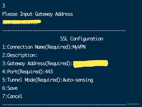 VPN 华为SecoClient客户端Linux使用
