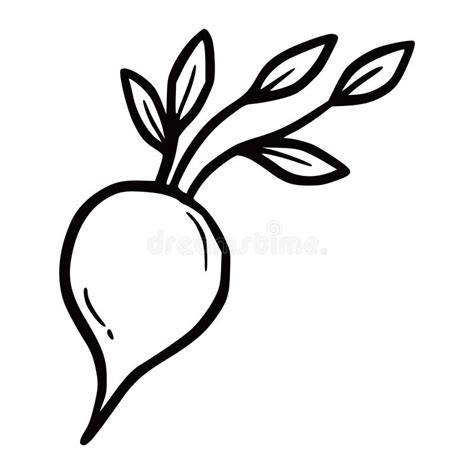 Hand Drawn Vegetable Doodle Element Stock Illustration Illustration