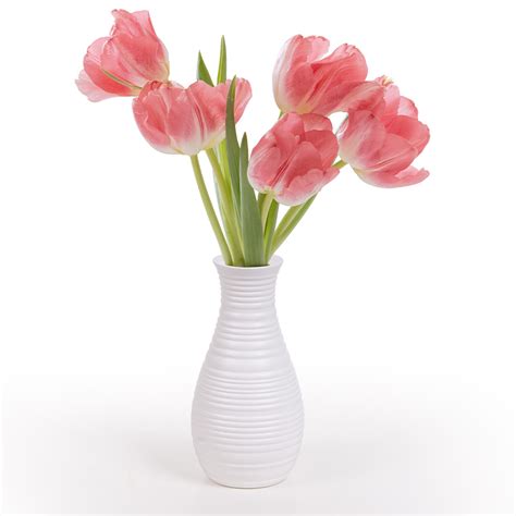 Product Việt Nhật Plastic