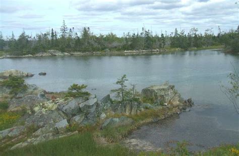 Along The Salt Marsh Trail Out Cole Harbour Way Nova Scotia Canada