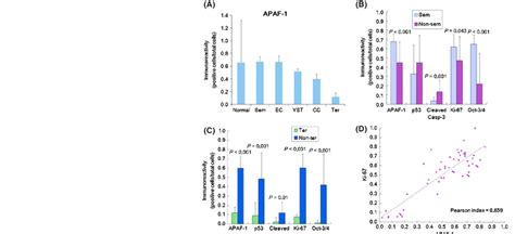 Comparison Of Immunohistochemical Results A Expression Of Apoptotic