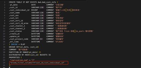 星云零售信贷基于 Apache Doris 的 OLAP 演进之路