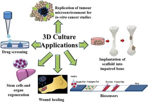 Journal Of Cellular Physiology X Mol