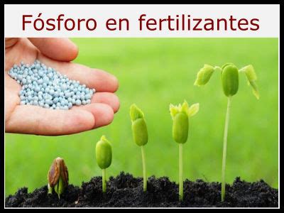 Los 9 Usos del Fósforo más Importantes Para qué sirve