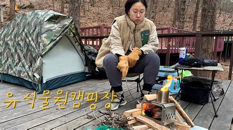 포천 유식물원캠핑장🏕️삼겹살🥓솔로캠핑미니멀캠핑미니화목난로🔥🪵퇴사 후 내년 계획 Youtube