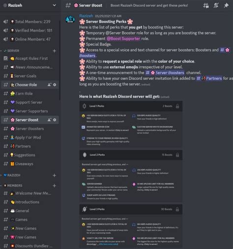 Setup Manage Moderate Your Discord Server By Razizeh Fiverr