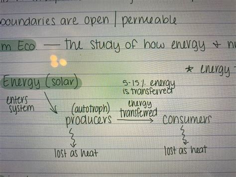 Ecology FINAL Flashcards Quizlet