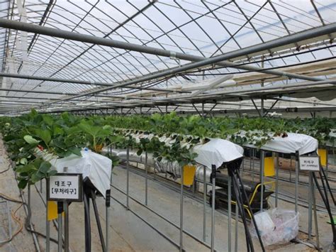 가평군농업기술센터 해충방제효과 큰 자체개발 친환경미생물제 농가 시험 추진 뉴스아이신문