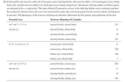 Solved 23 In Drosophila The Recessive Allele Mb Of One